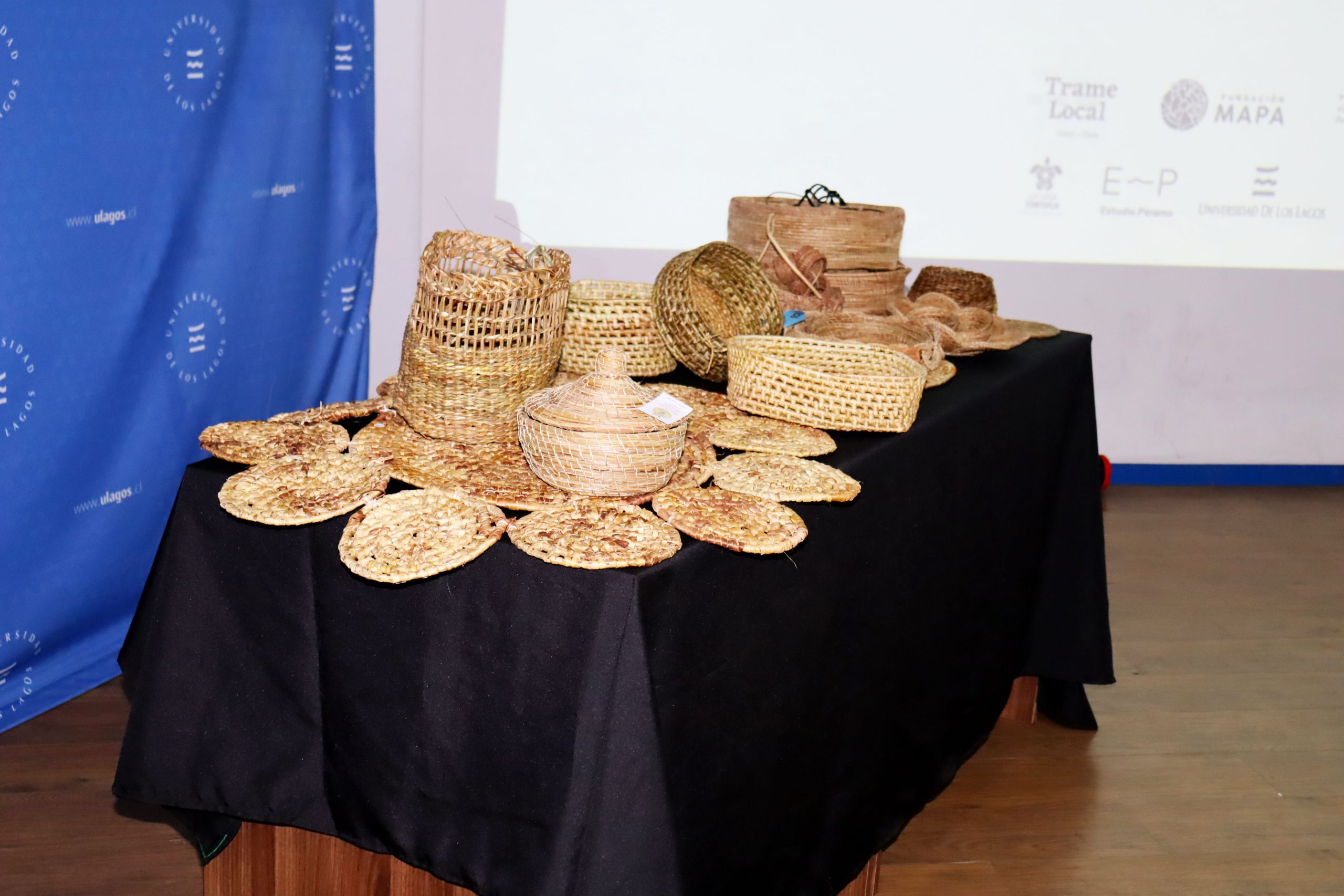 Artesanas difunden técnicas en cestería tradicional en la ULagos ...