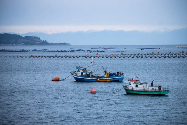 ¡Será Ley! Senado respalda informe de la comisión mixta por ...